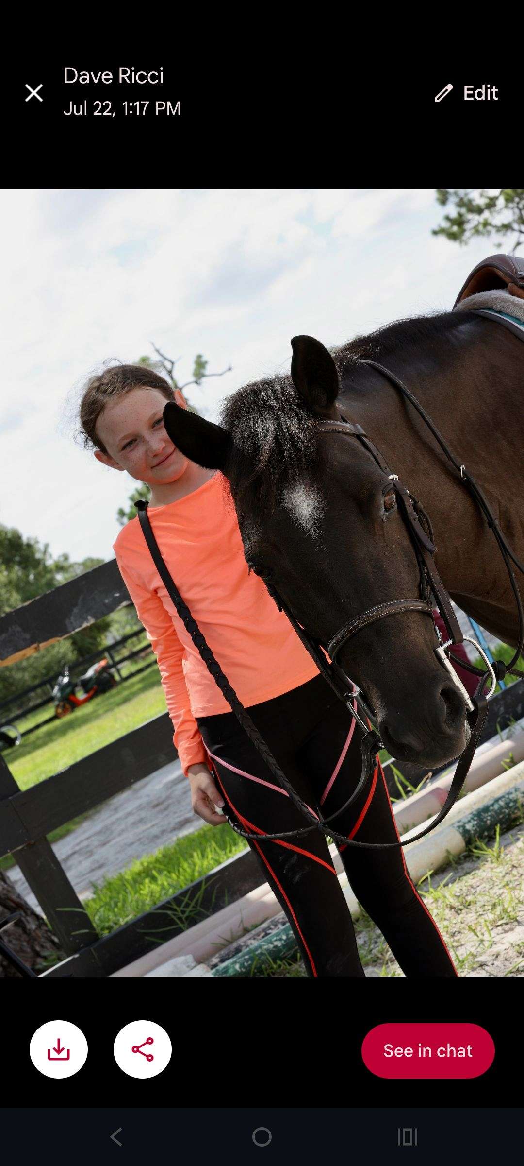 Small Pony for Sale Sadly Outgrown