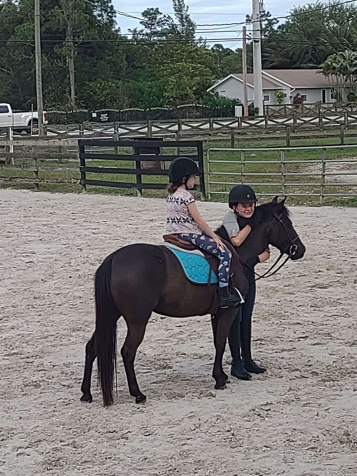 Small Pony for Sale Sadly Outgrown