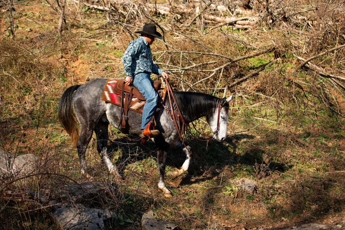 Tuff - an Excellent Trail/Ranch Horse 6 Yr Old Grey AQHA Gelding!