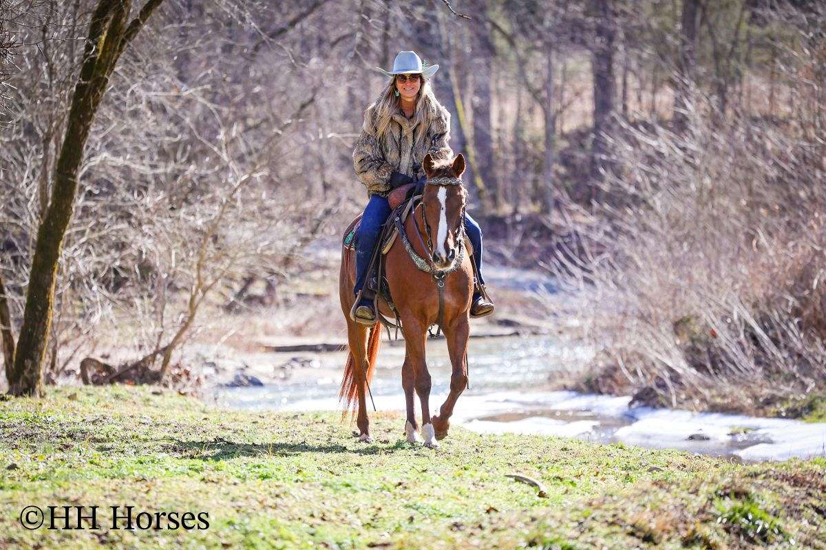 Really Nice Double Registered Shining Spark Grandaughter, Reining, Ranch