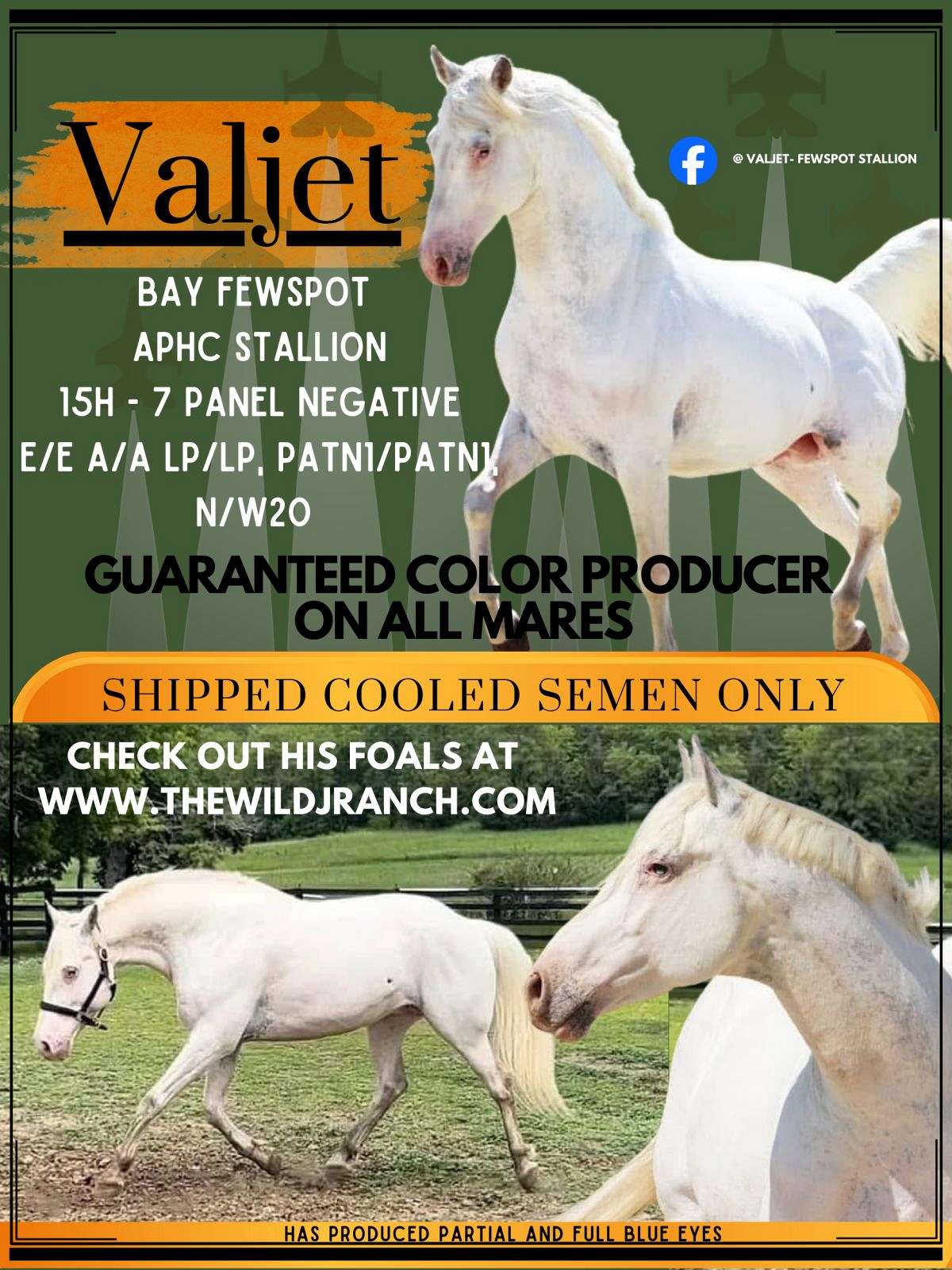 Valjet - 100% Color Producer