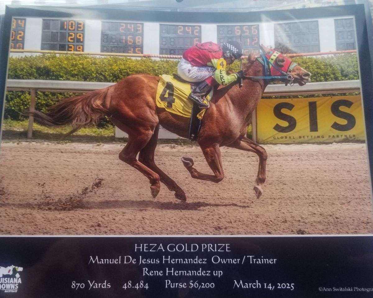 Racehorse