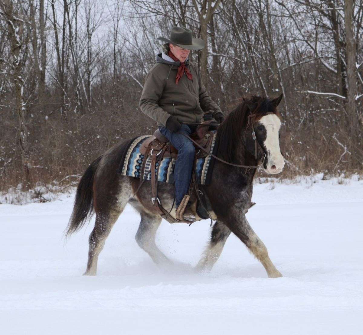 Stetson