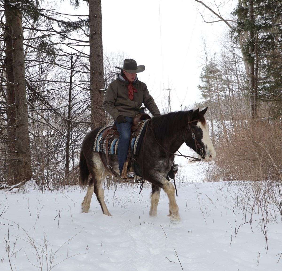 Stetson
