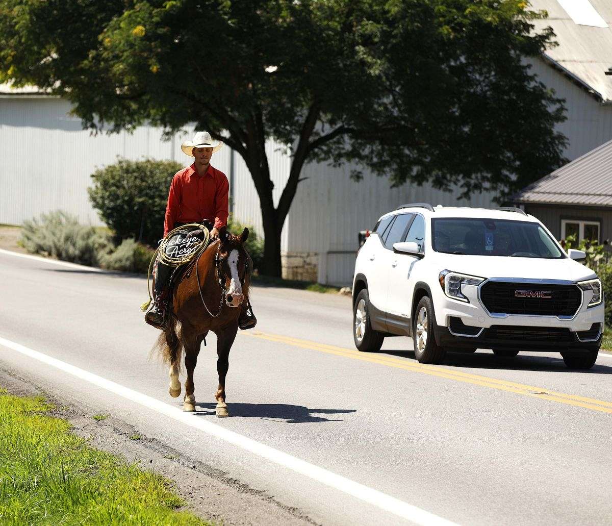 His Name Says It All—Promise is a Horse That Delivers. Gunnatrashya