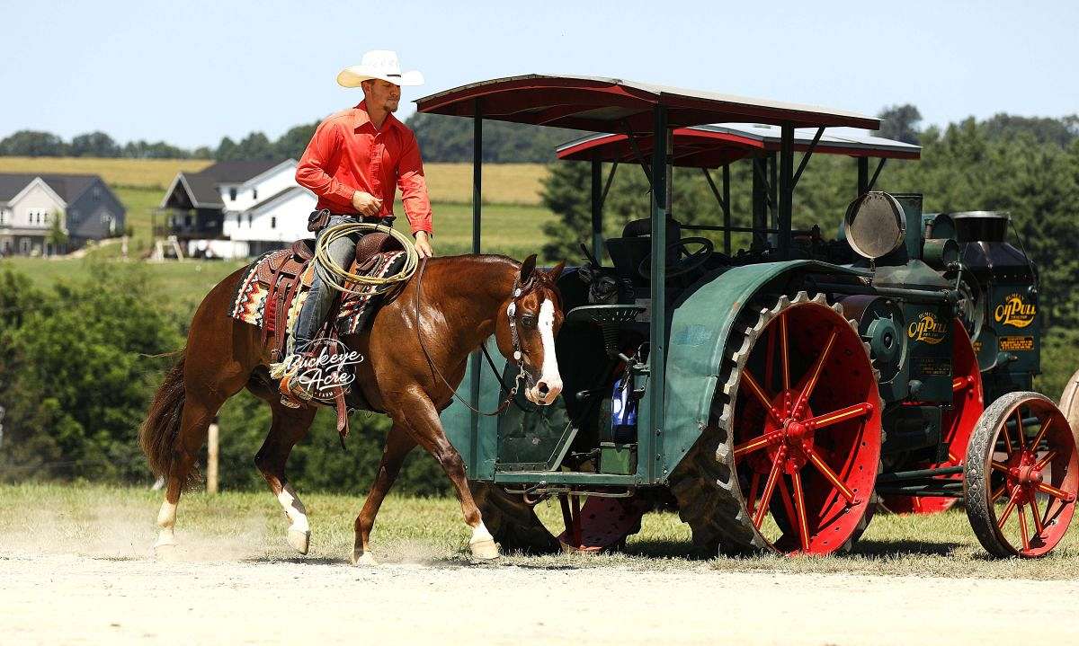 His Name Says It All—Promise is a Horse That Delivers. Gunnatrashya