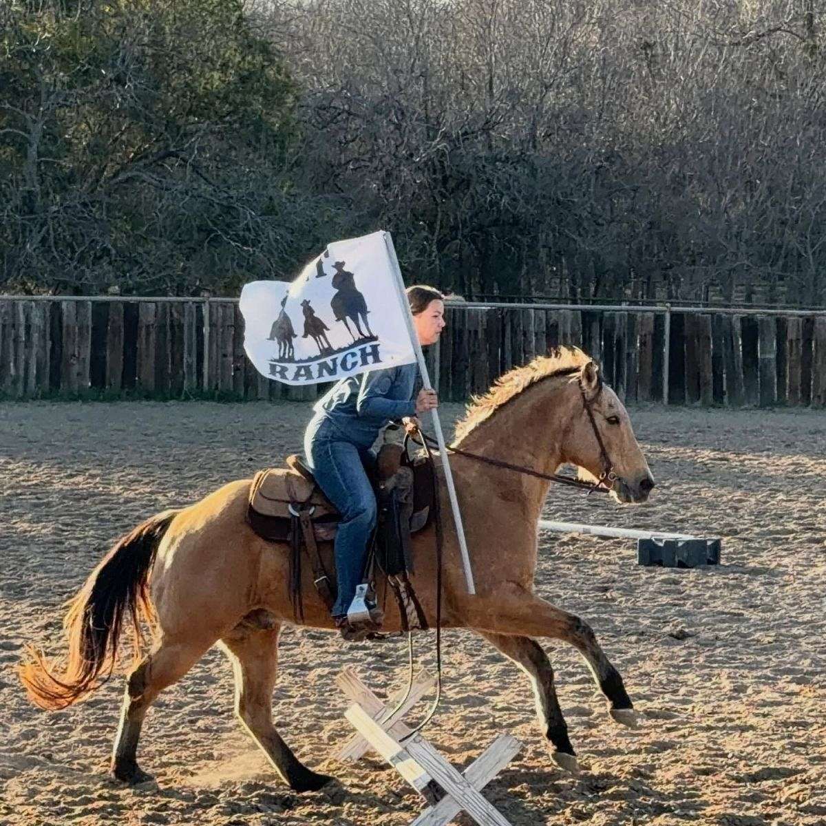 Handy AQHA Buckskin Gelding
