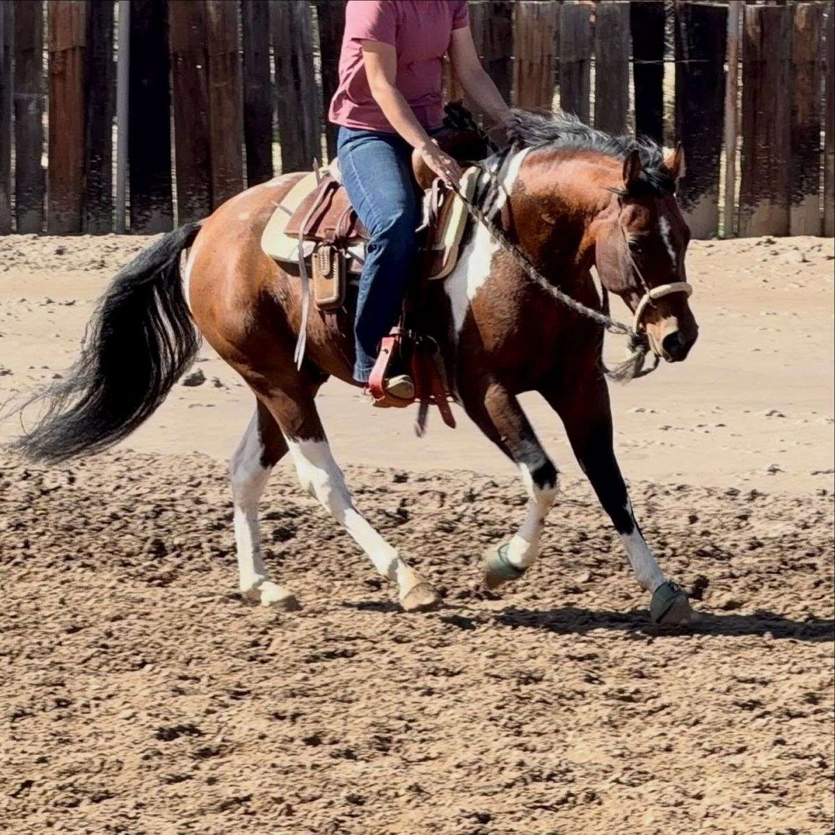 APHA Mecom Blue Prospect