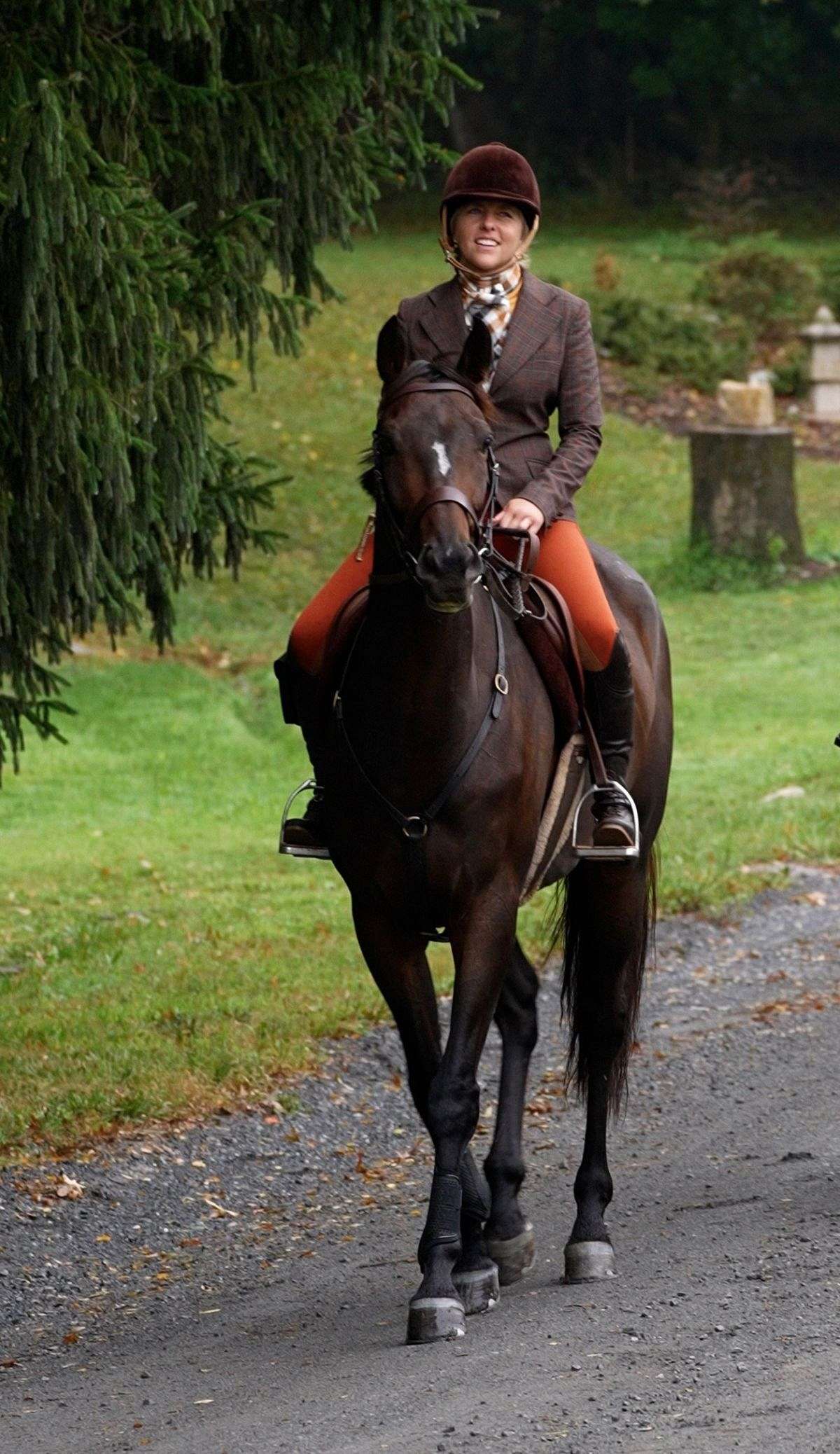 Handsome, Tall, Foxhunter!