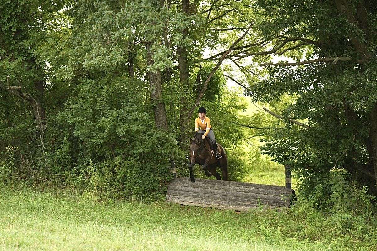 Handsome, Tall, Foxhunter!