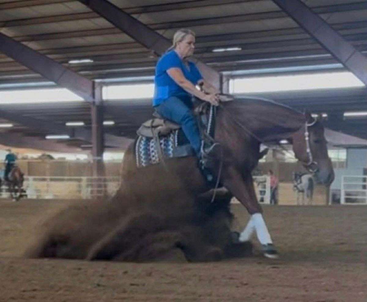 Electric Redneck AQHA Gelding - NRHA Enrolled, Versatile Performance Horse