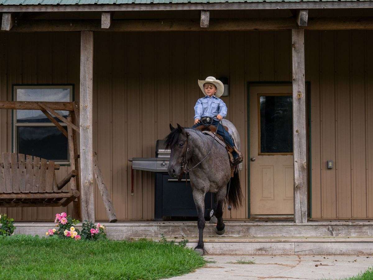 Pony Boy - Gentle, Fun, & Flashy 4 yo Blue Roan Quarter Pony Gelding!