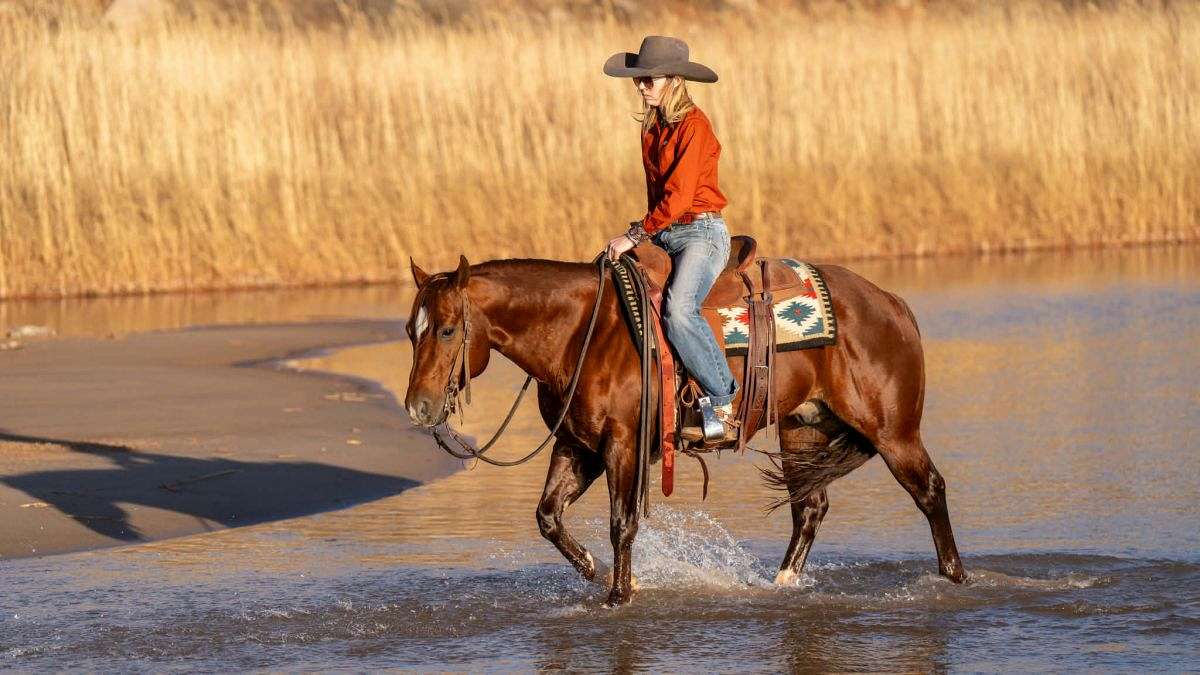 Tank - a Top Notch Ranch & Family Horse 9 Yr Old Sorrel AQHA Gelding!