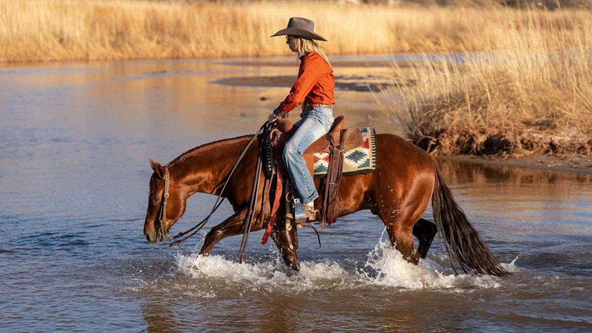 Tank - a Top Notch Ranch & Family Horse 9 Yr Old Sorrel AQHA Gelding!