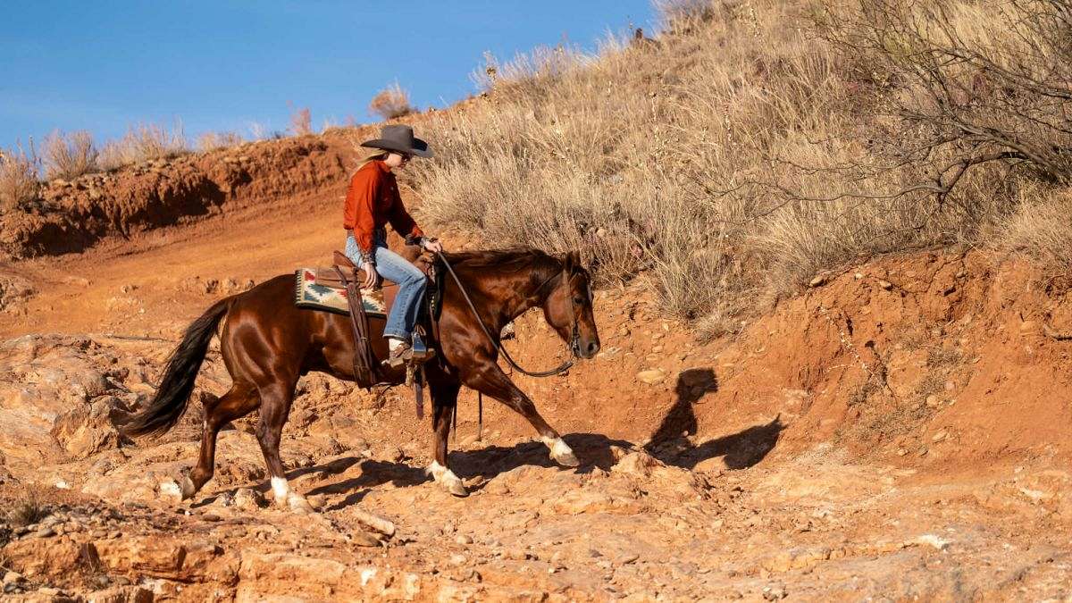 Tank - a Top Notch Ranch & Family Horse 9 Yr Old Sorrel AQHA Gelding!