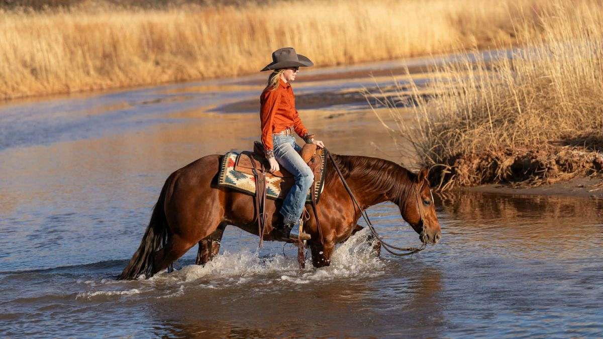 Tank - a Top Notch Ranch & Family Horse 9 Yr Old Sorrel AQHA Gelding!