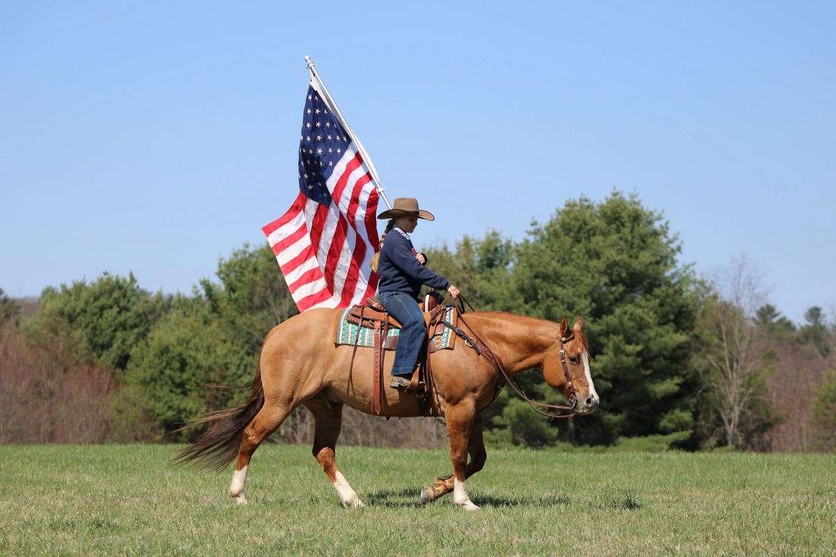 Dual Dash Dun It - a Great Family Trail Horse 10 yo Red Dun AQHA Gelding!