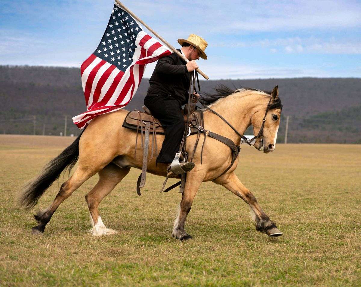 Beaver - Extremely Fancy & Versatile 4 Yr Old Buckskin Crossbred Gelding!