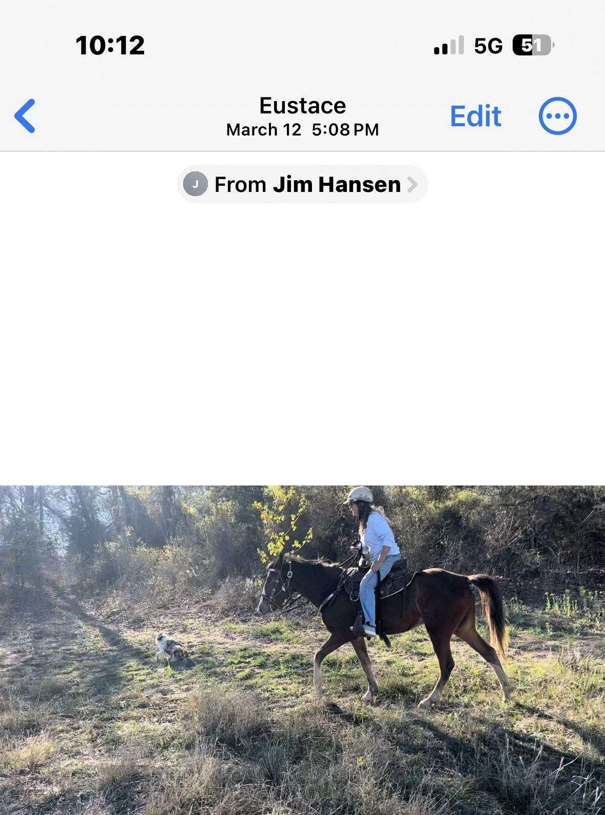 Beau-in Your Pocket Gelding