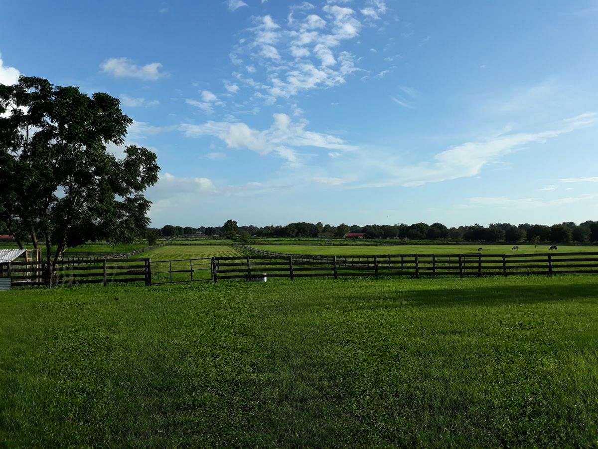 Retirement/Lay Up Pasture Board