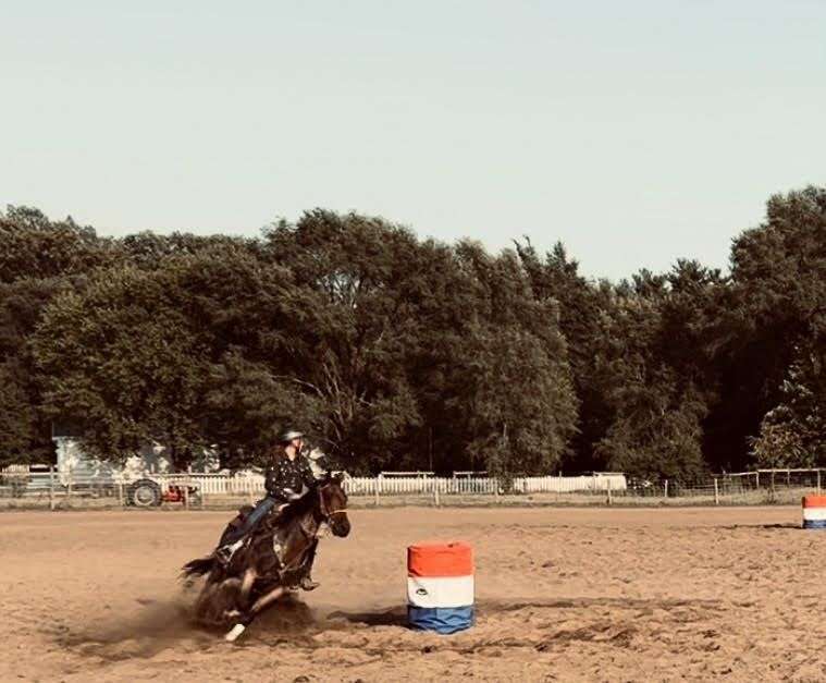 I give lessons and looking for a barn job