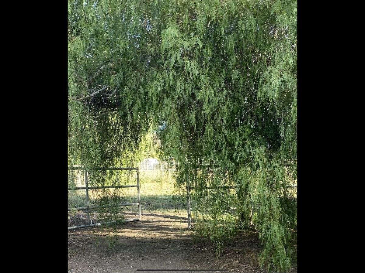 Affordable Horse Boarding