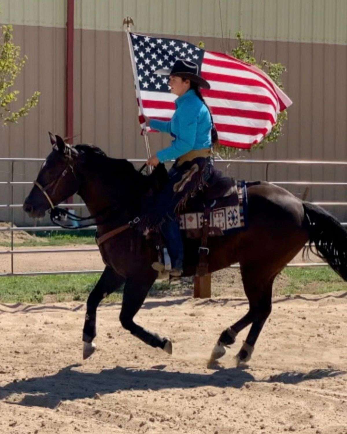 Boarding and Training offered