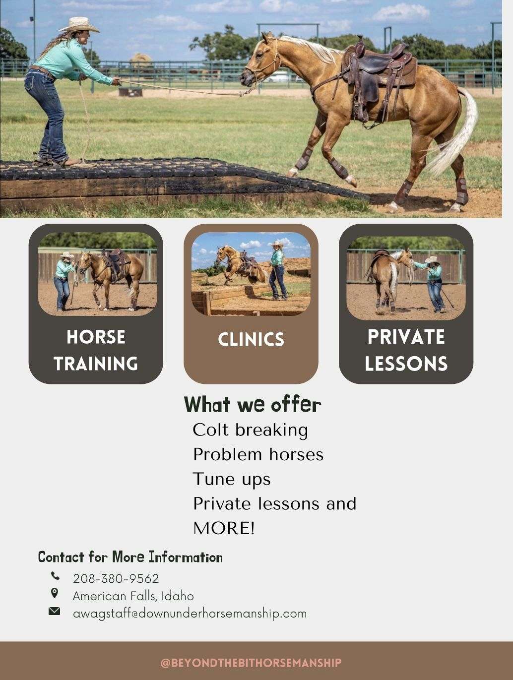 Horse training, lessons & clinics