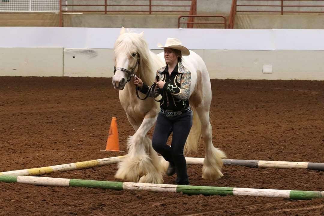 Starlit Gypsy Performance