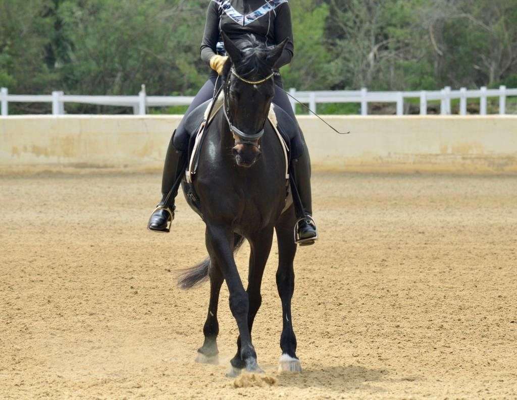 Traing/Lessons/Leases