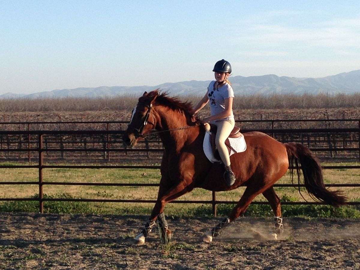 Boarding for Sporthorses in Central Valley