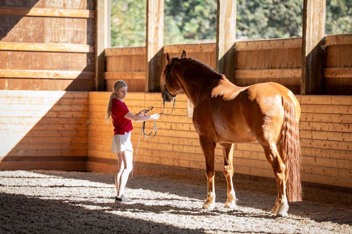 Irish Performance Breeding without Compromise