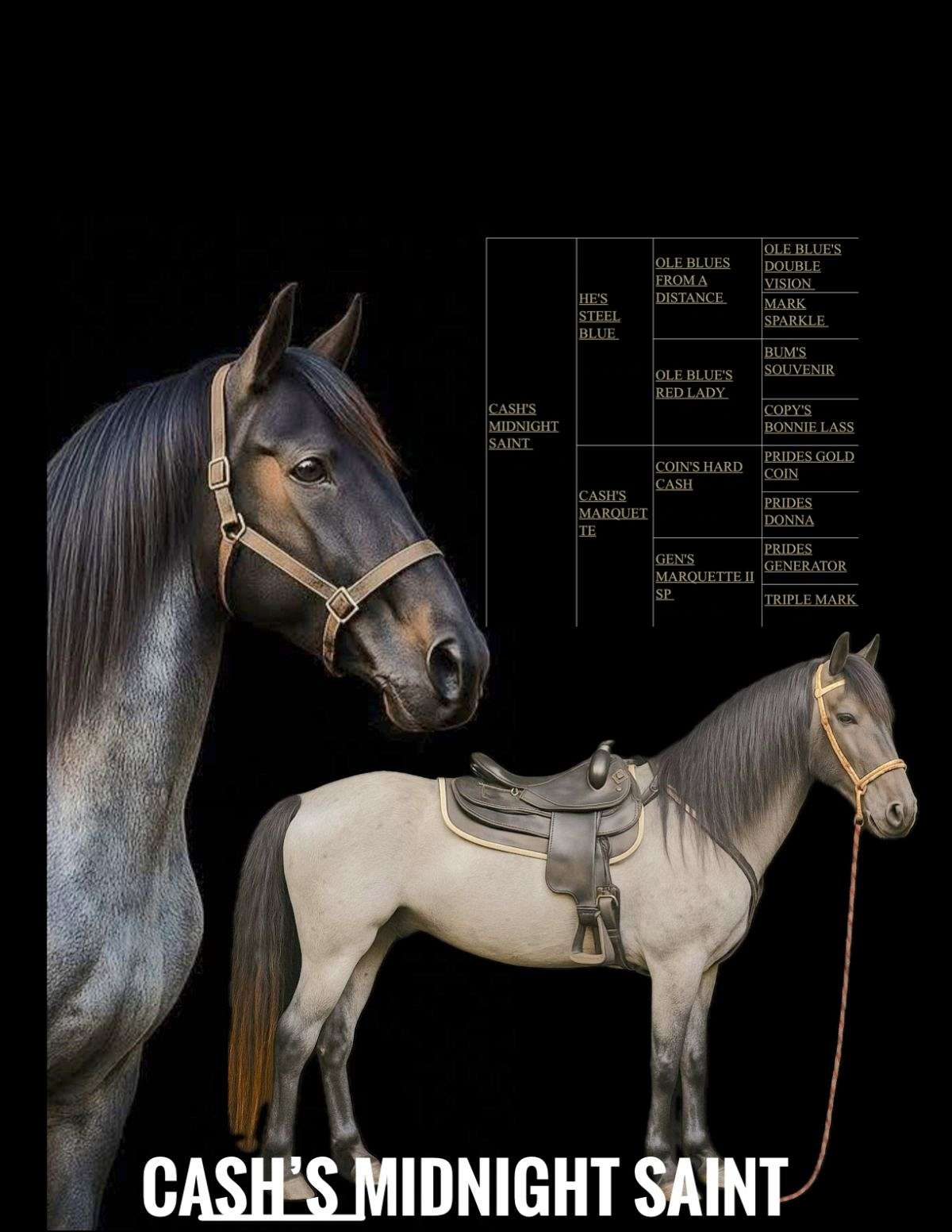 Blue Roan Stallion