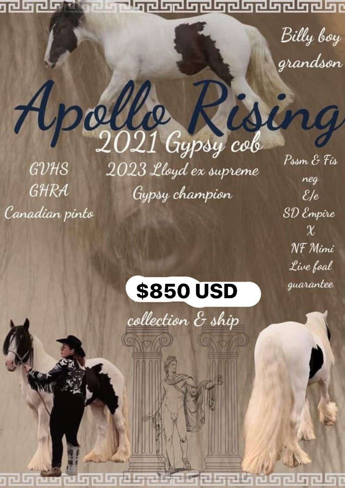 Triple Reg* Apollo Rising