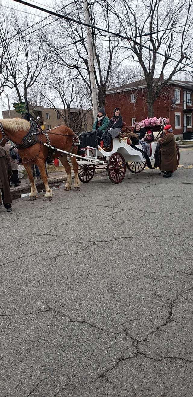 Vis a vis 6 person carriage