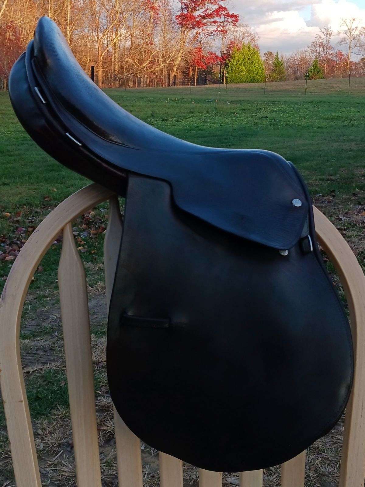 English Saddle - Blue Ribbon