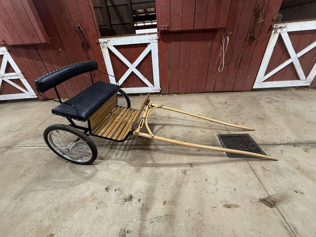 Pony cart