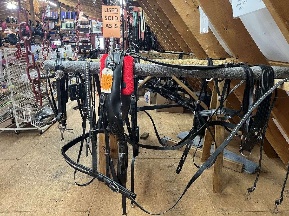 68"-80" Used STD Leather/Bio Harness