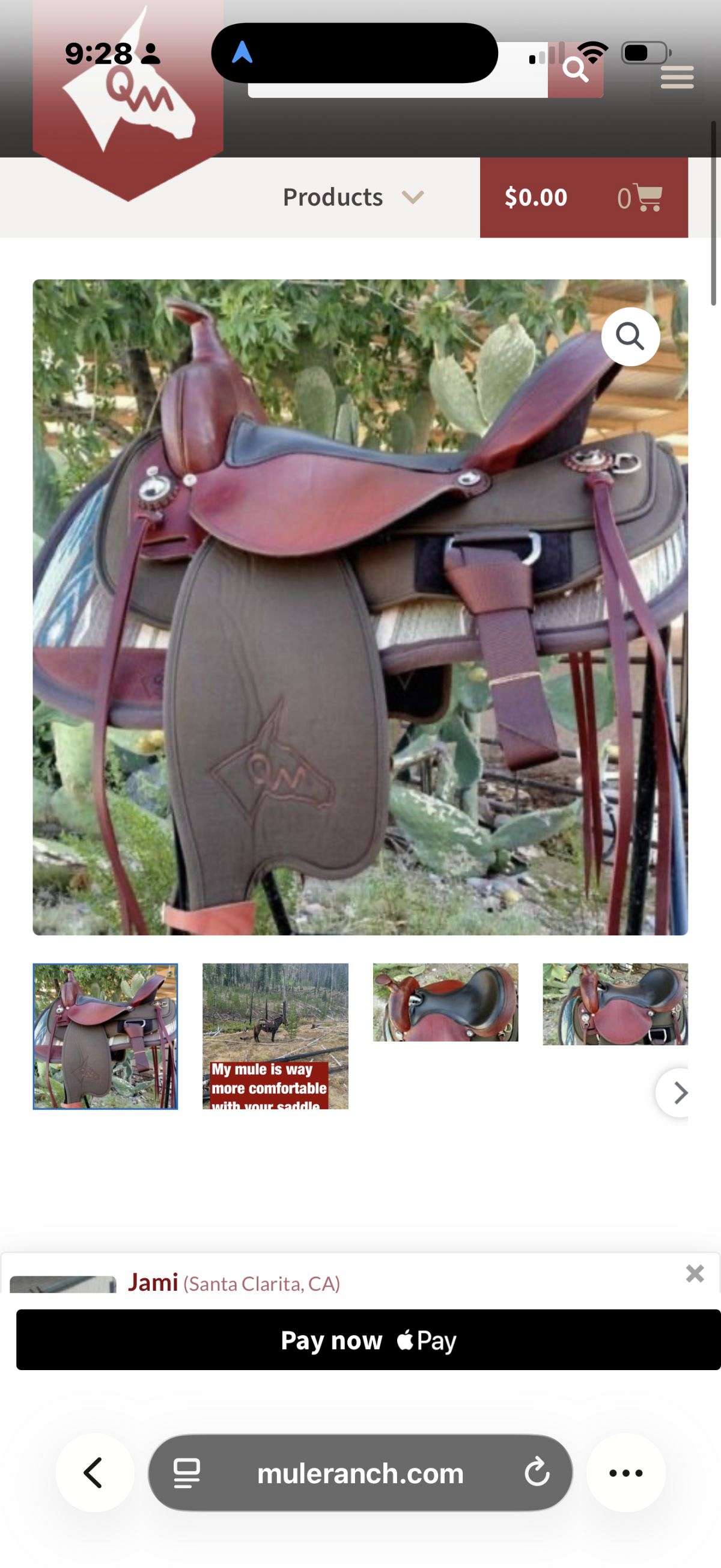 Steve Edwards trail lite saddle