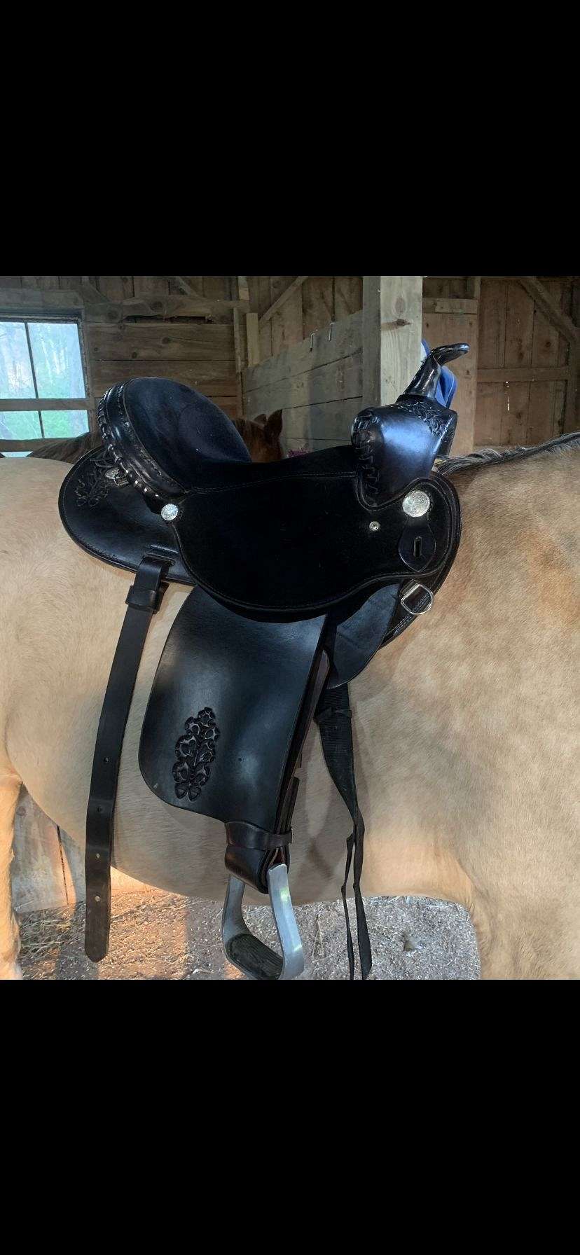 Custom Dakota Saddle Model 401