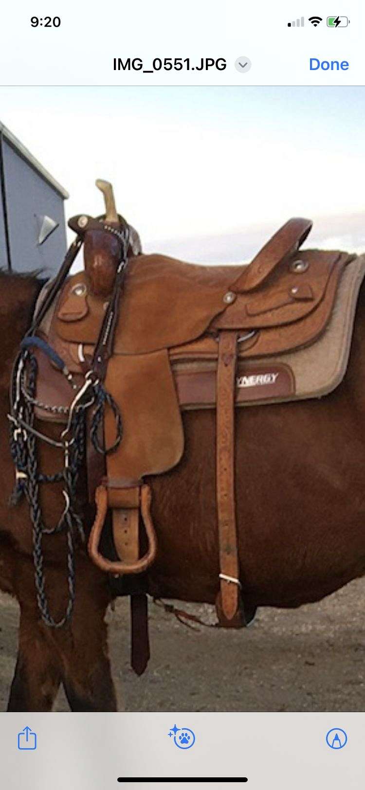 16” Billy cook cutter