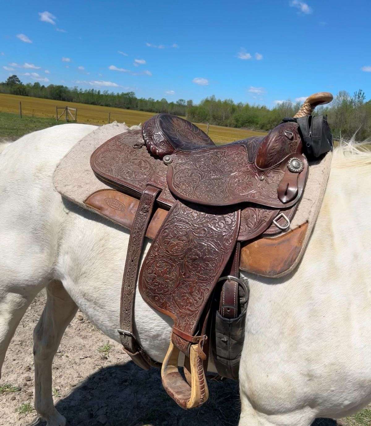 Western Saddle