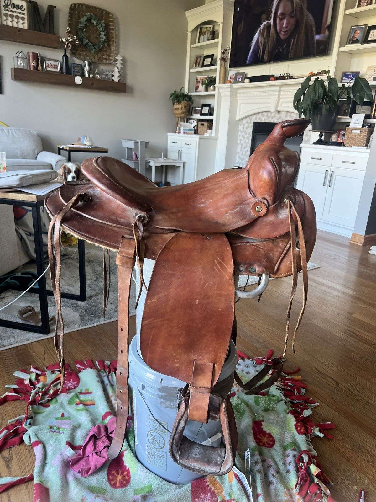 western roping saddle