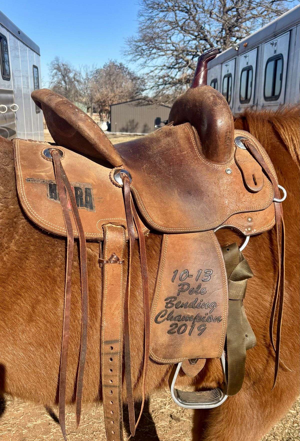 HOYRA Champion Saddld