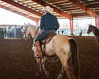 Wilson - Solid Ranch & Roping Horse 7 Yr Old Buckskin Quarter Horse Gelding
