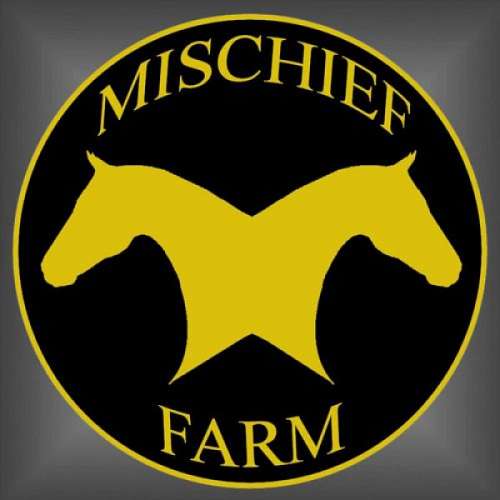 Mischief Farm on EquineNow