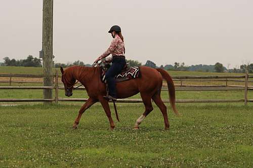 Liberty stables on EquineNow