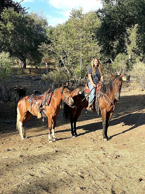 Echo Hills Ranch on EquineNow