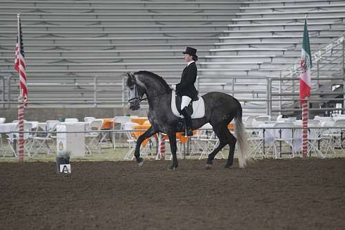 West Wind Training Stables on EquineNow