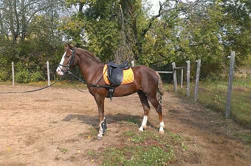 Valley View Stables on EquineNow